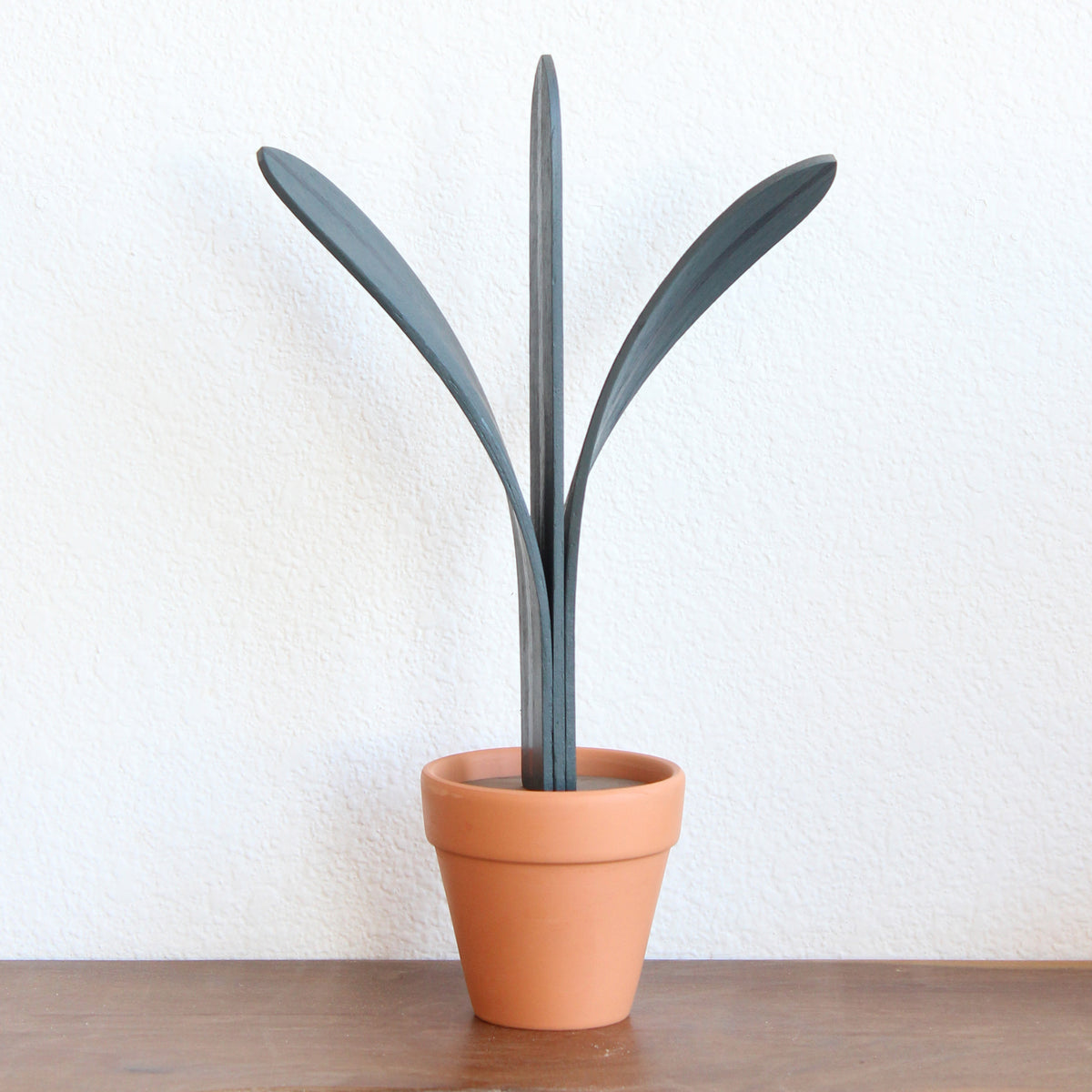 Lush at Hashimoto Contemporary in NY – Jeff Canham